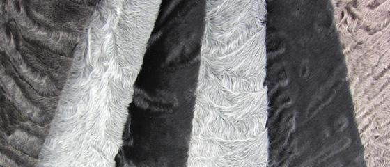 December 2017 Features the Main Karakul Offering of the Season - Sagafurs