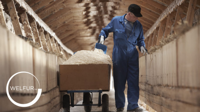 Science-based WelFur Assessment - Sagafurs