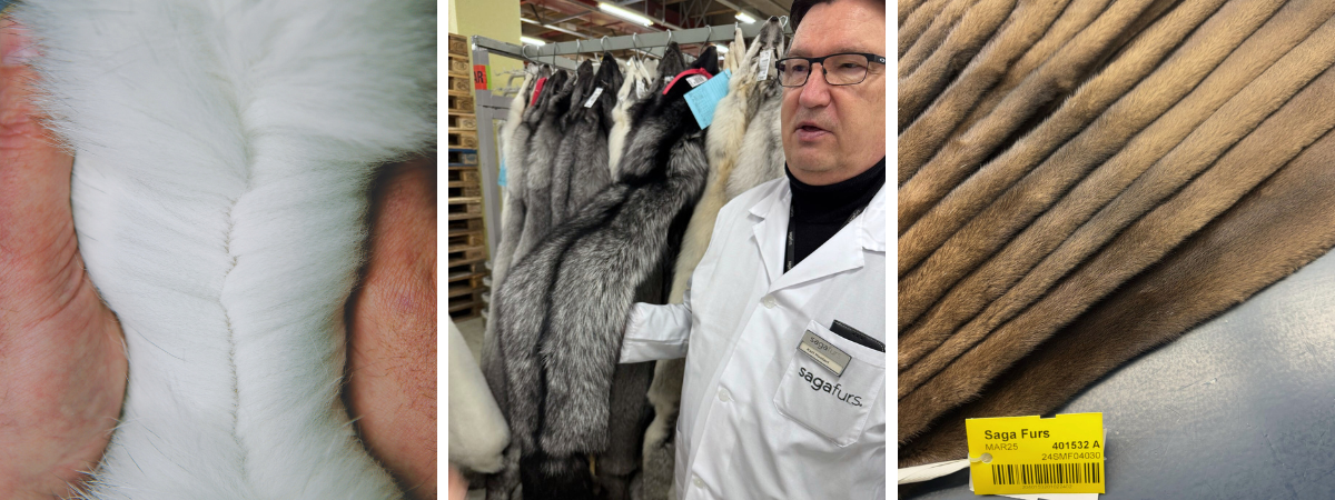 Fur grading training course attracted the new generation of the ...